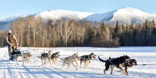 Zoos, Aquariums & Animal Parks in New Hampshire (NH)